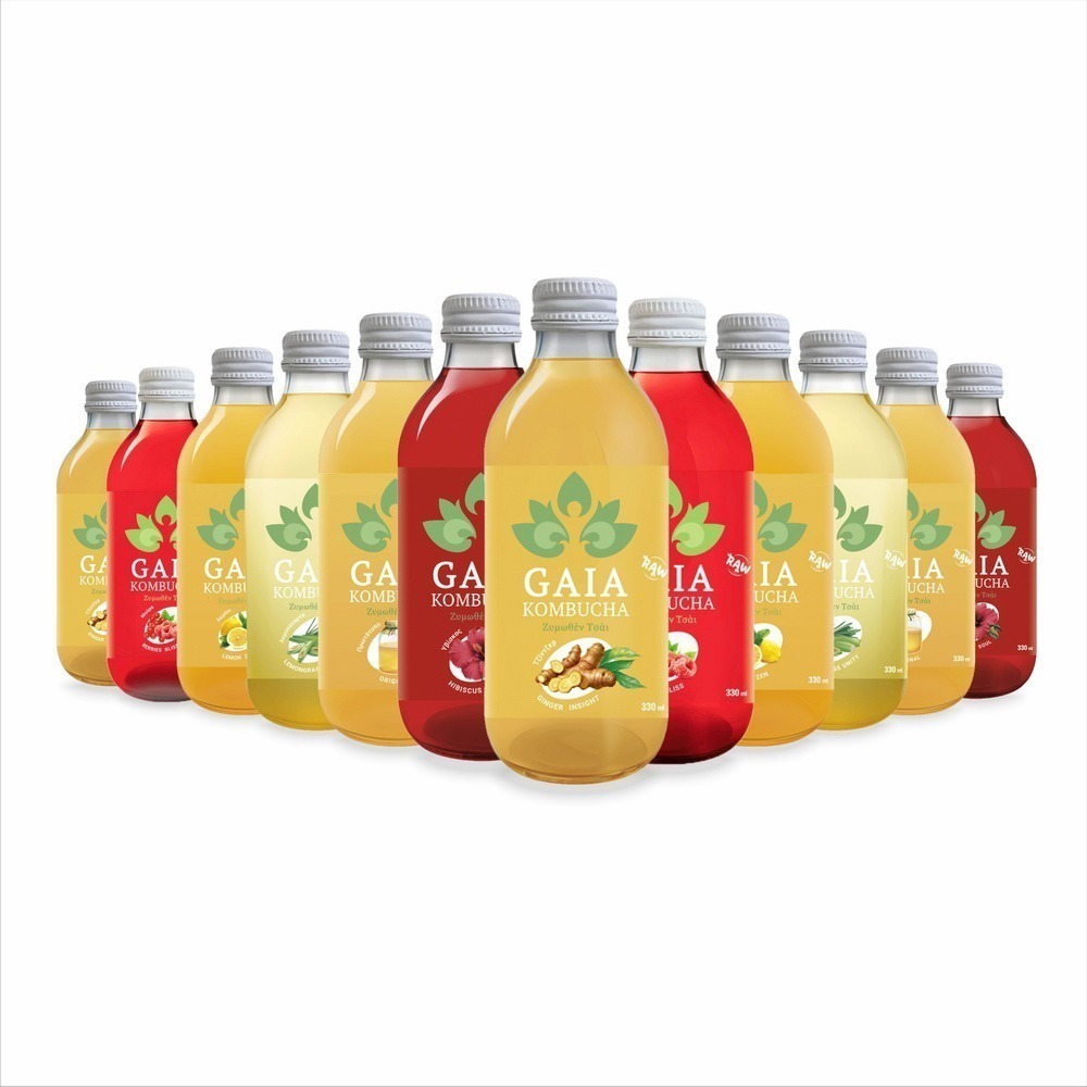 Multi-Flavor pack of 12 pcs. 330 ml – Raw Kombucha on Cyprus